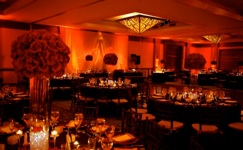 Audio Visual One Multimedia